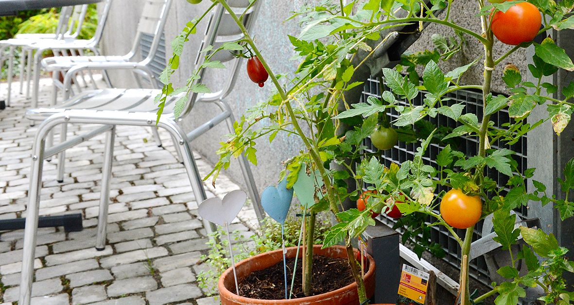 Familienwohnen OKey - Angehörige